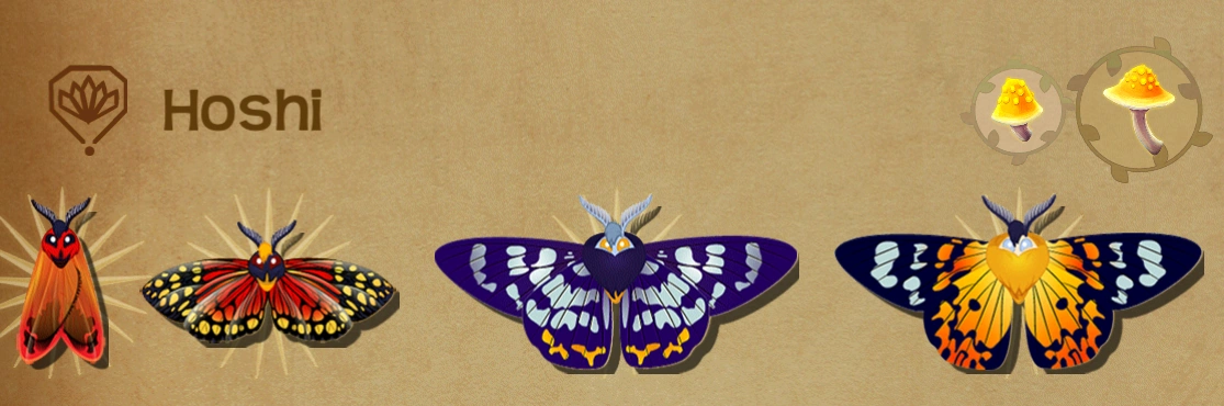 Hoshi | Flutter: Starlight Wikia | Fandom