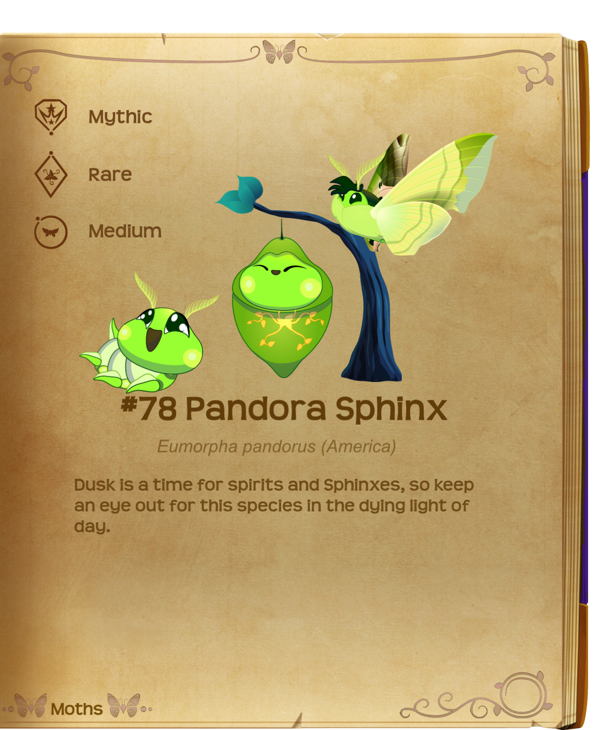 Pandora Sphinx Flutter Starlight Wikia Fandom Powered By Wikia