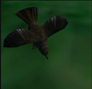 Robin | Fly Like a Bird 3 Wiki | Fandom