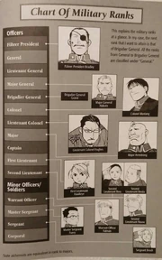 State Military | Fullmetal Alchemist Wiki | Fandom