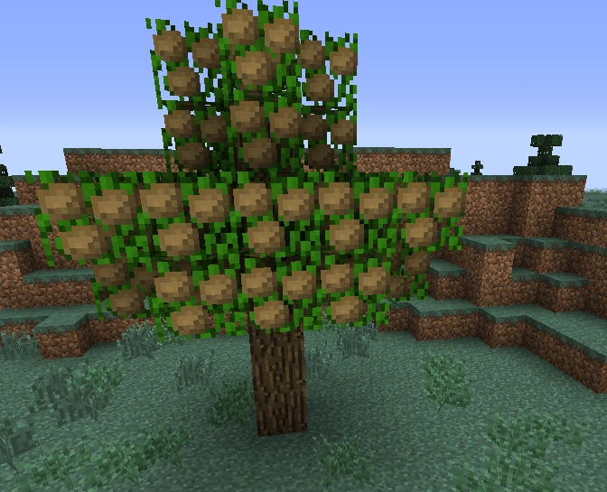 Walnut Sapling | Food Plus Wiki | Fandom