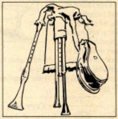 Zulkoon | Forgotten Realms Wiki | FANDOM powered by Wikia