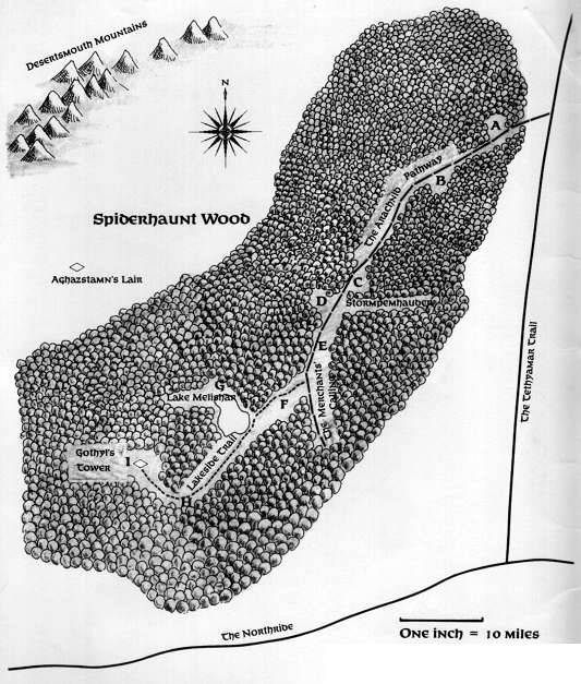 Spiderhaunt Wood | Forgotten Realms Wiki | Fandom