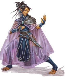 Githzerai | Forgotten Realms Wiki | Fandom