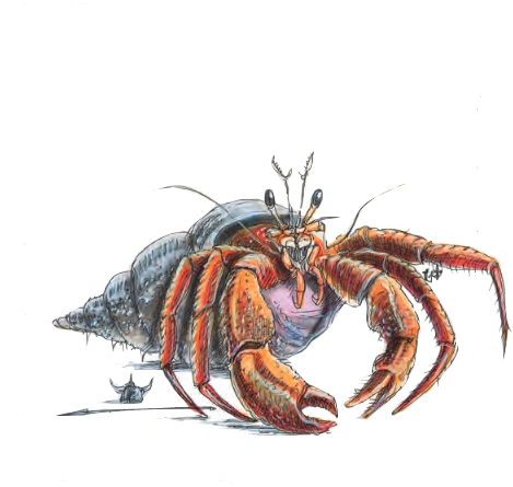 Giant crayfish | Forgotten Realms Wiki | Fandom