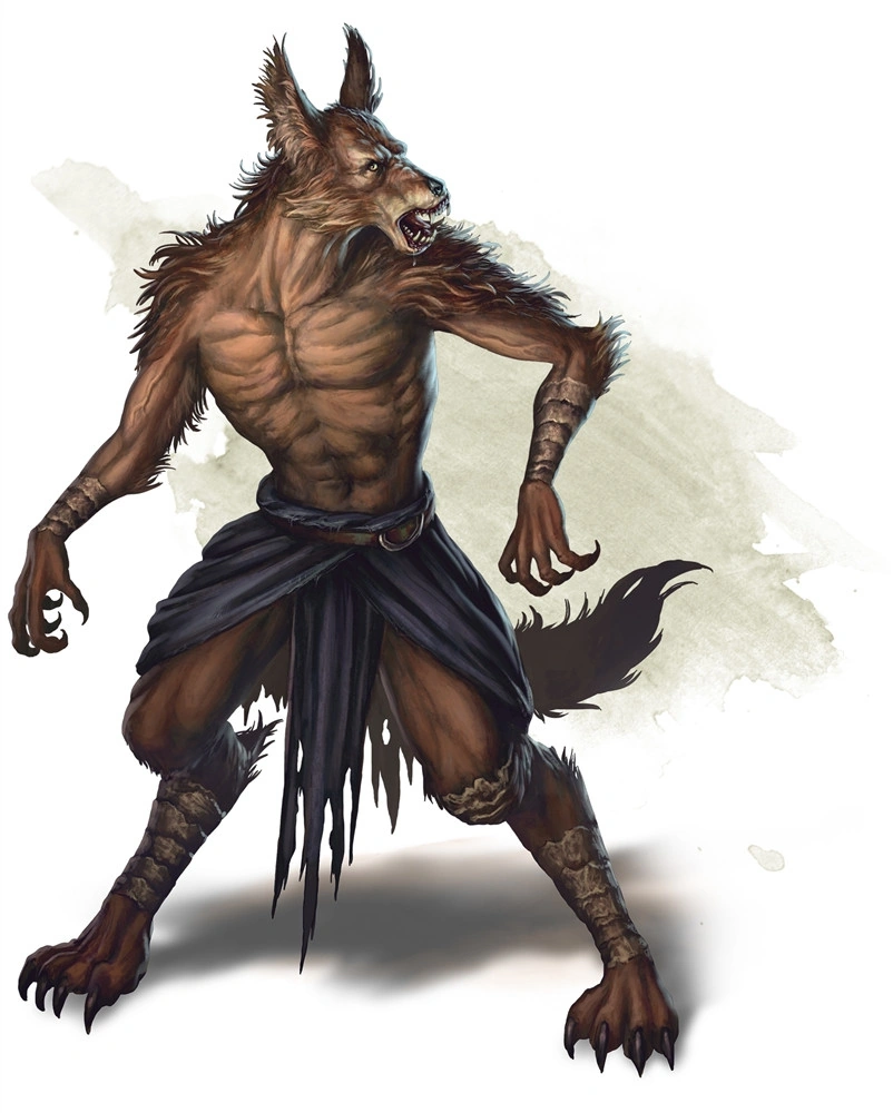 Jackalwere | Forgotten Realms Wiki | Fandom