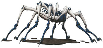 Phase spider | Forgotten Realms Wiki | Fandom