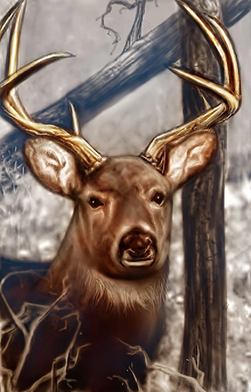 Deer | Forgotten Realms Wiki | FANDOM powered by Wikia