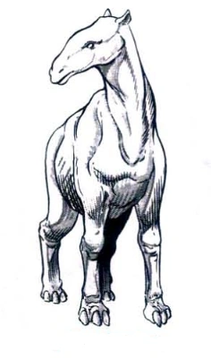 Baluchitherium | Forgotten Realms Wiki | Fandom