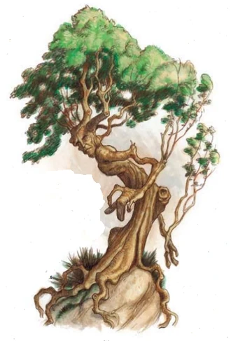 Treant | Forgotten Realms Wiki | Fandom