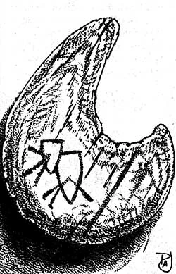 Hellriders | Forgotten Realms Wiki | Fandom