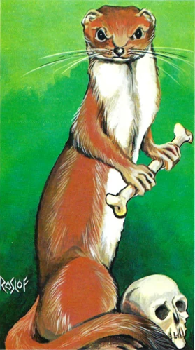 Giant weasel | Forgotten Realms Wiki | Fandom