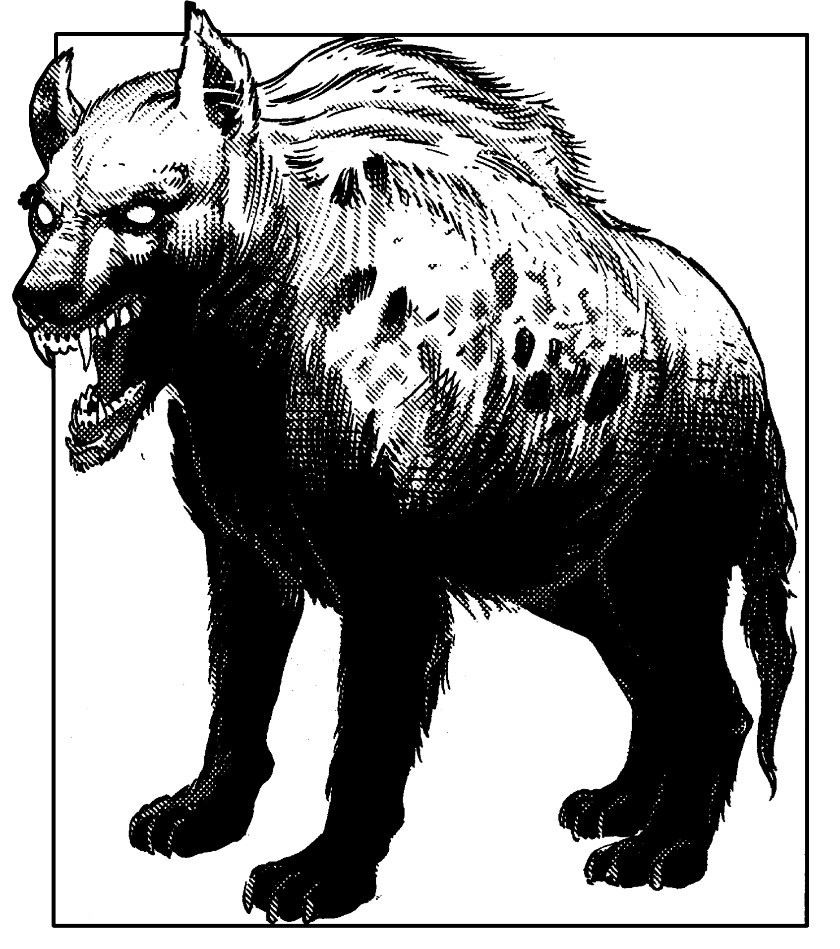 Werehyena | Forgotten Realms Wiki | Fandom