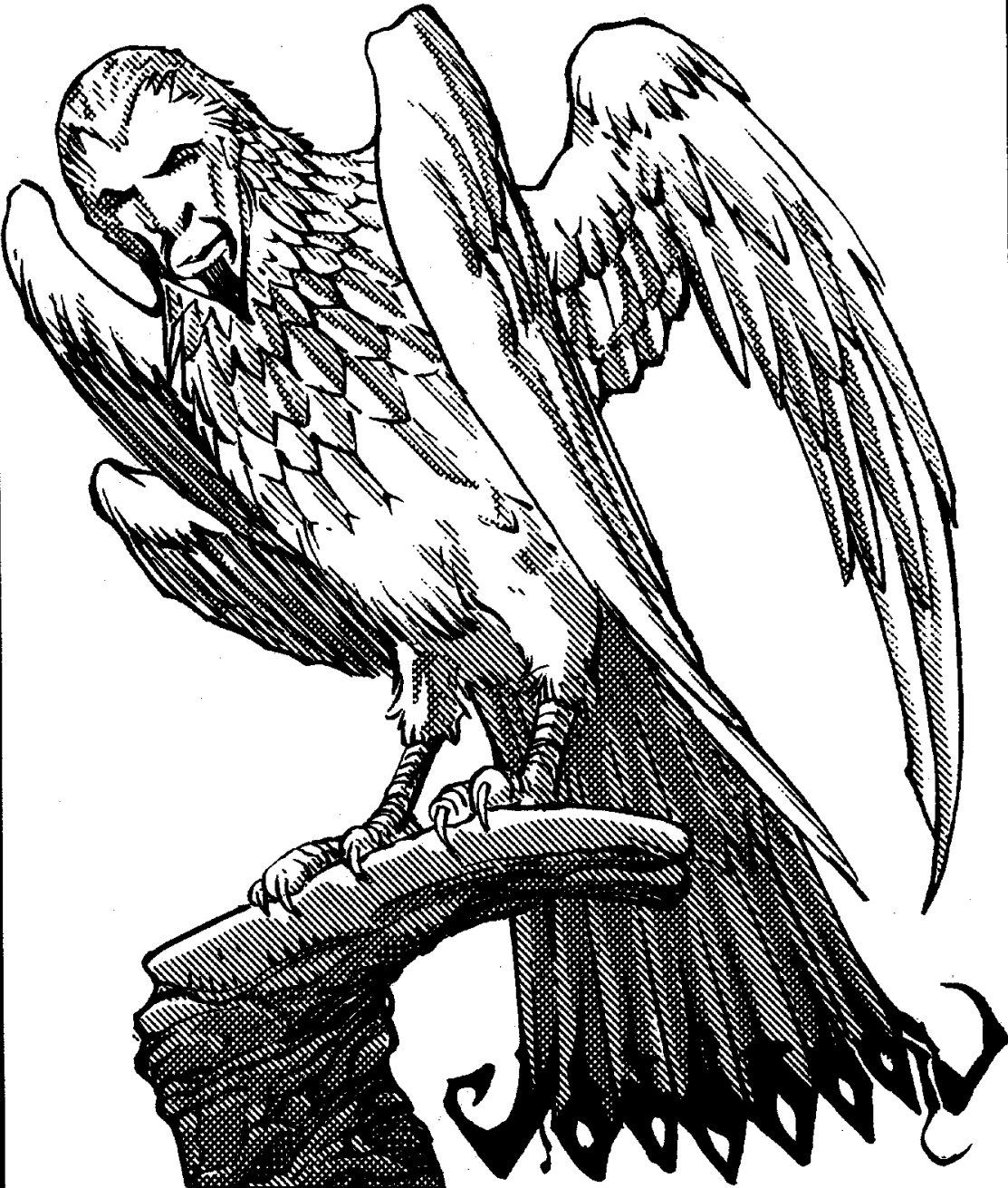 Simurgh | Forgotten Realms Wiki | Fandom