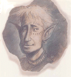 Bralani | Forgotten Realms Wiki | Fandom