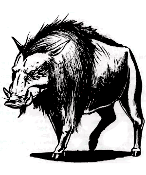 Boar | Forgotten Realms Wiki | Fandom