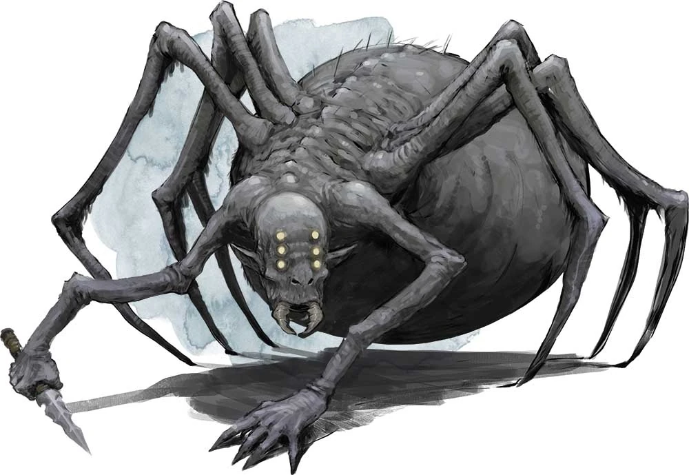 Choldrith | Forgotten Realms Wiki | Fandom