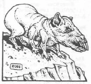 Osquip | Forgotten Realms Wiki | Fandom