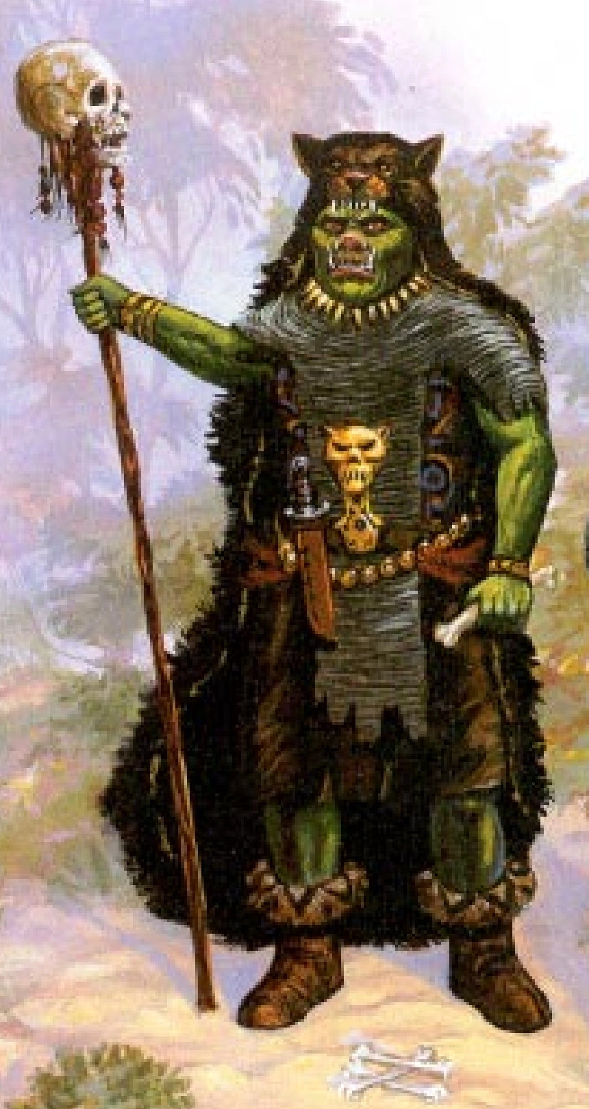 Category:Shamans | Forgotten Realms Wiki | Fandom
