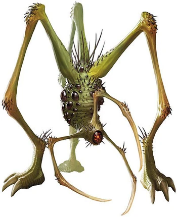 Draudnu | Forgotten Realms Wiki | Fandom