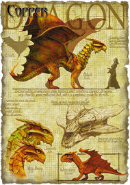 Copper dragon | Forgotten Realms Wiki | Fandom