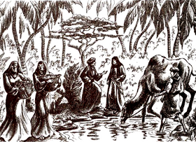 Bedine | Forgotten Realms Wiki | Fandom