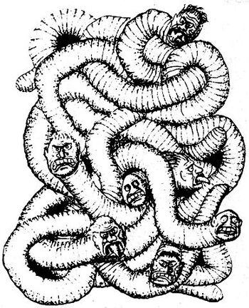 Larva | Forgotten Realms Wiki | Fandom