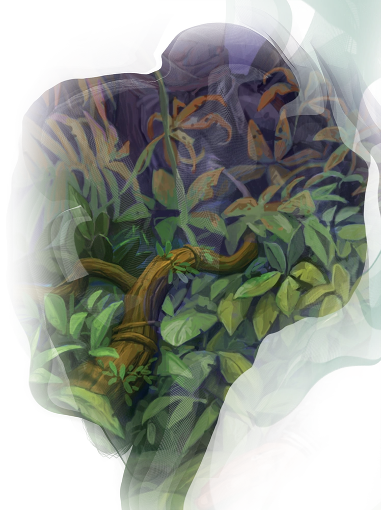 Assassin vine | Forgotten Realms Wiki | Fandom