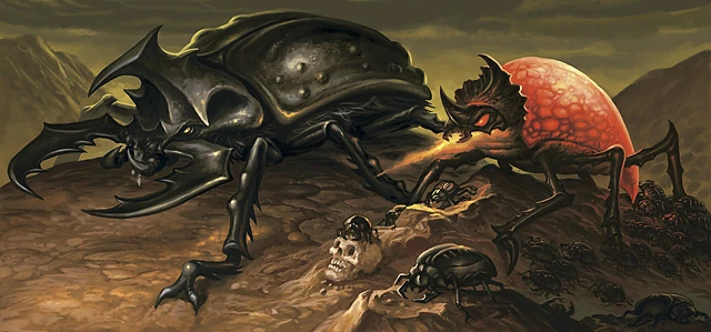 Beetle | Forgotten Realms Wiki | Fandom