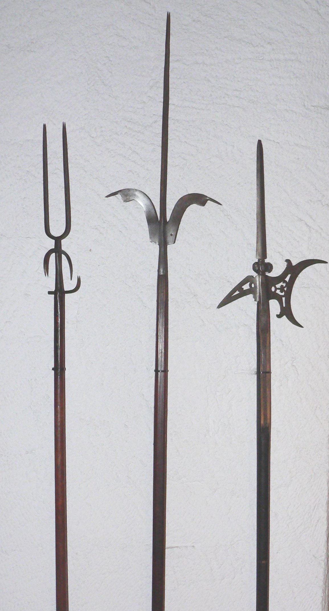 Image - Fork-ranseur-halberd.jpg | Forgotten Realms Wiki | FANDOM ... Image - Fork-ranseur-halberd.jpg | Forgotten Realms Wiki | FANDOM ...