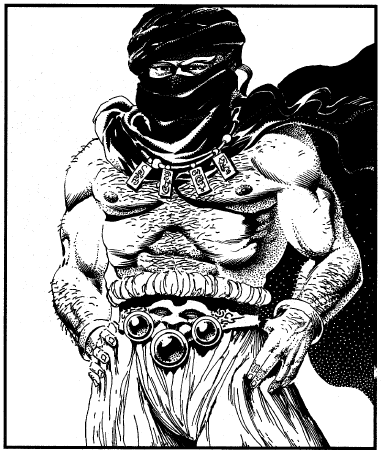 Janni | Forgotten Realms Wiki | Fandom