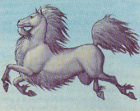 Asperii | Forgotten Realms Wiki | Fandom