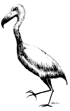 Boobrie | Forgotten Realms Wiki | Fandom