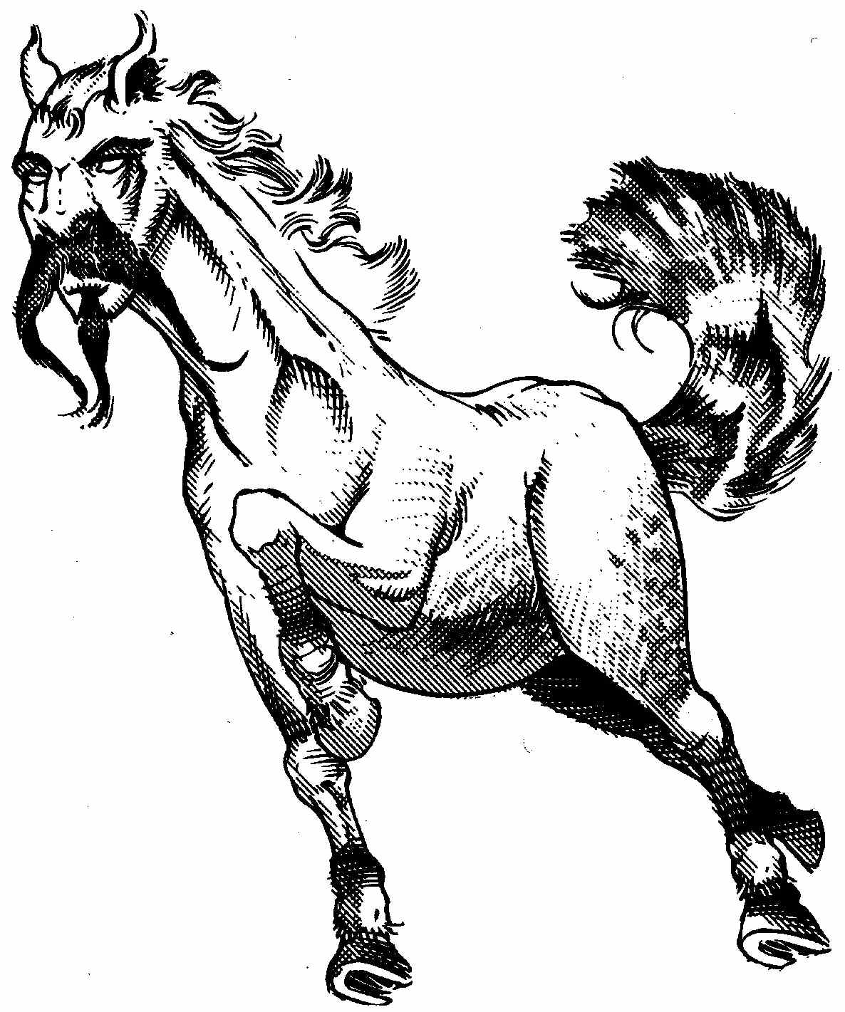 Buraq | Forgotten Realms Wiki | Fandom Buraq | Forgotten Realms Wiki | Fandom