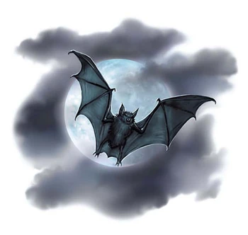 Bat | Forgotten Realms Wiki | FANDOM powered by Wikia