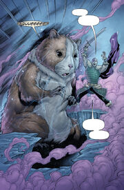 Boo | Forgotten Realms Wiki | Fandom