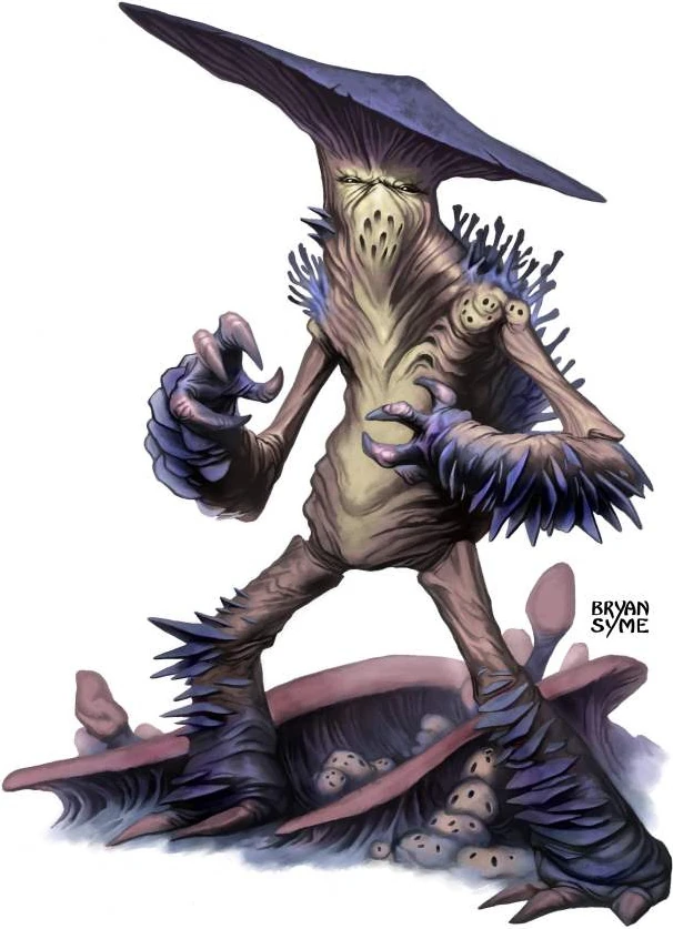 Basidia | Forgotten Realms Wiki | FANDOM powered by Wikia