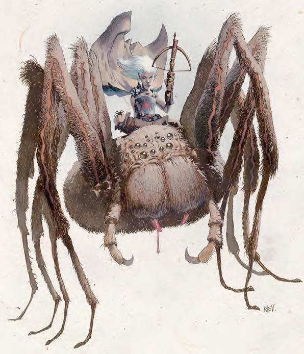 Arachne Forgotten Realms Wiki Fandom Powered By Wikia