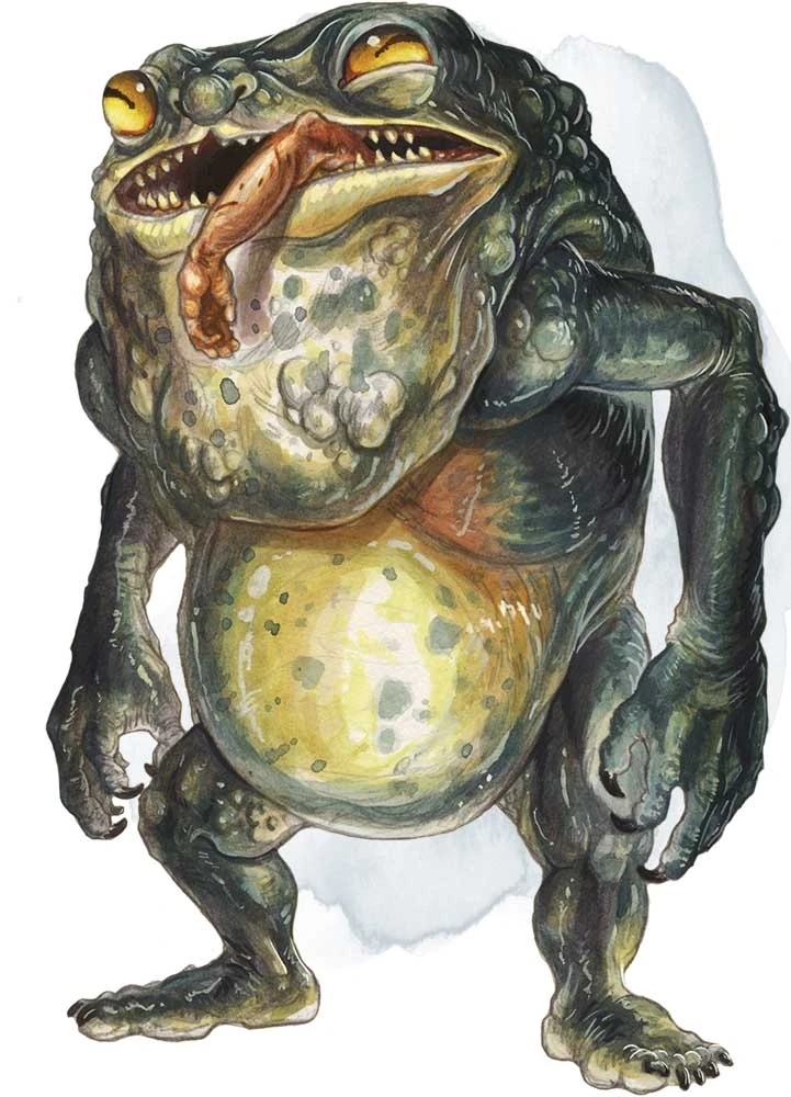 Banderhobb | Forgotten Realms Wiki | FANDOM powered by Wikia