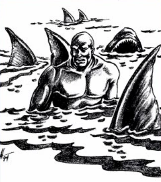 Wereshark | Forgotten Realms Wiki | Fandom