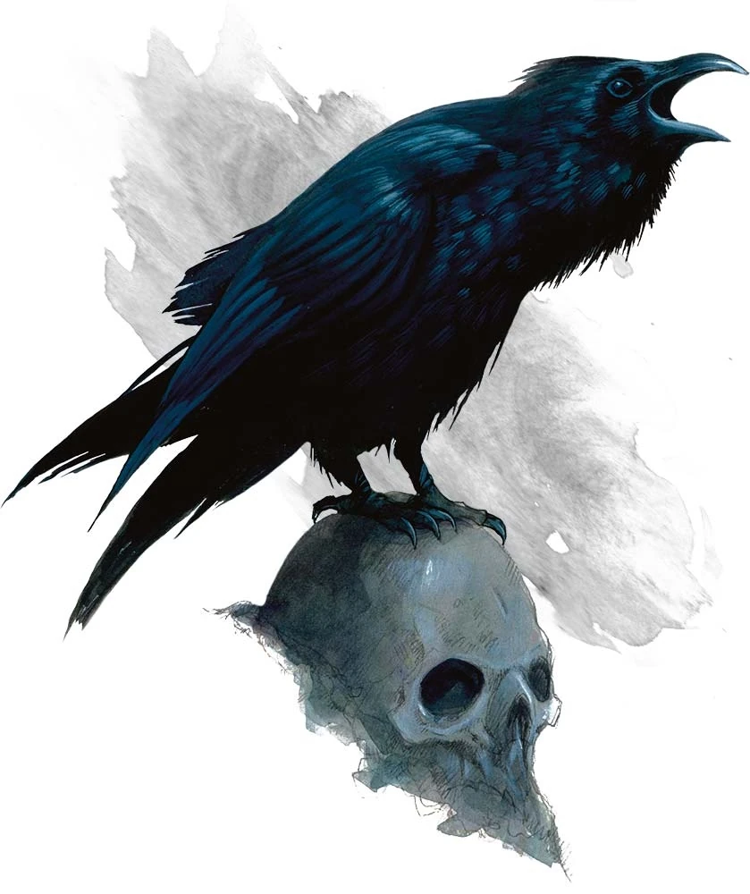 Raven | Forgotten Realms Wiki | Fandom