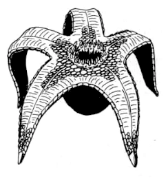 Dustdigger | Forgotten Realms Wiki | Fandom