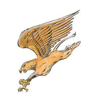 Griffon | Forgotten Realms Wiki | Fandom