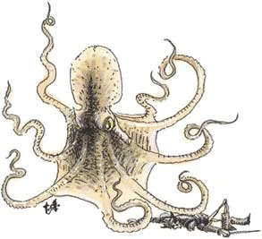 Giant octopus | Forgotten Realms Wiki | FANDOM powered by Wikia