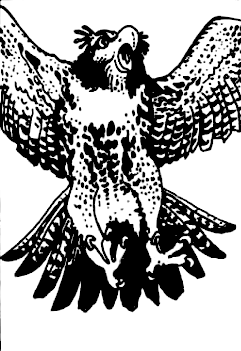 Blood hawk | Forgotten Realms Wiki | Fandom