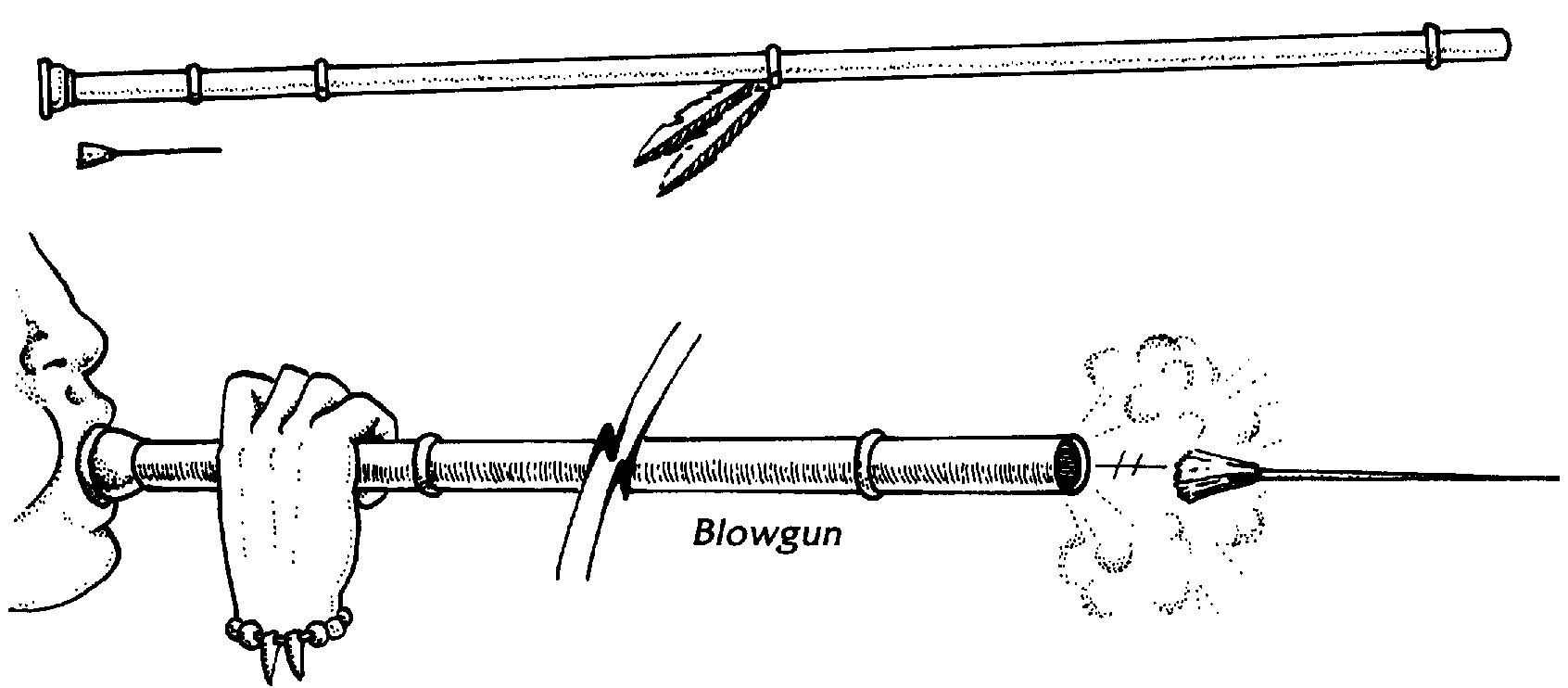 Blowpipe | Forgotten Realms Wiki | Fandom