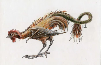 Cockatrice | Forgotten Realms Wiki | FANDOM powered by Wikia