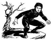 Cat lord | Forgotten Realms Wiki | Fandom