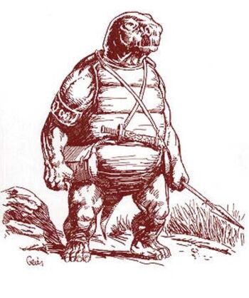 Tortle | Forgotten Realms Wiki | Fandom