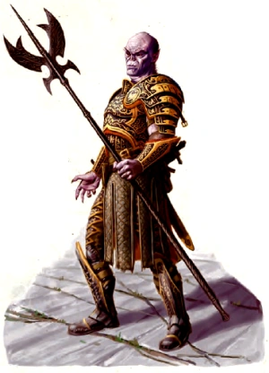 Krinth | Forgotten Realms Wiki | Fandom